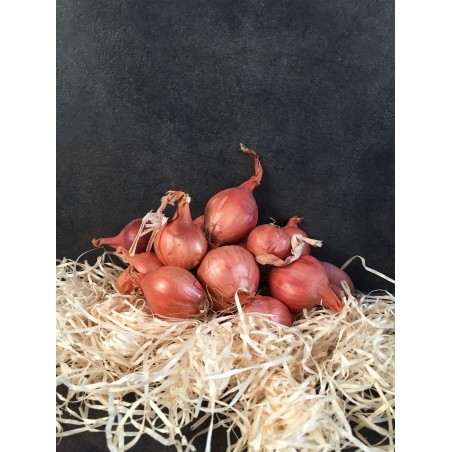 Echalote 500g France - Livraison à domicile dès le lendemain